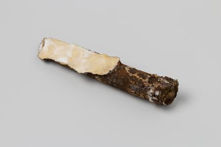 Tubular Definition, Meaning & Usage | FineDictionary.com