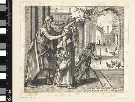 Water pitcher Definition, Meaning & Usage | FineDictionary.com