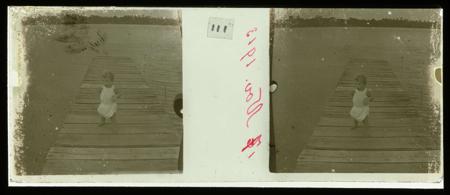 Jetty Definition, Meaning & Usage | FineDictionary.com