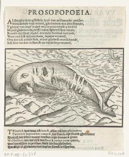 Rotten Definition, Meaning & Usage | FineDictionary.com