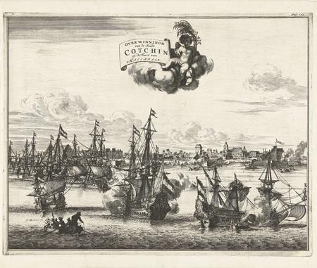 Cochineal Definition, Meaning & Usage | FineDictionary.com