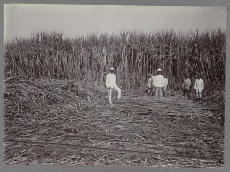 Overseer Definition, Meaning & Usage | FineDictionary.com