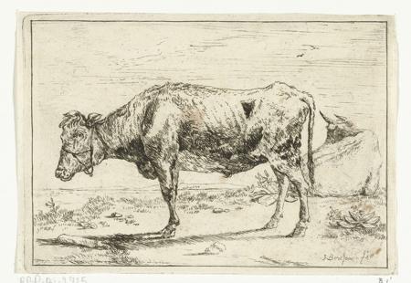 Halter Definition, Meaning & Usage | FineDictionary.com