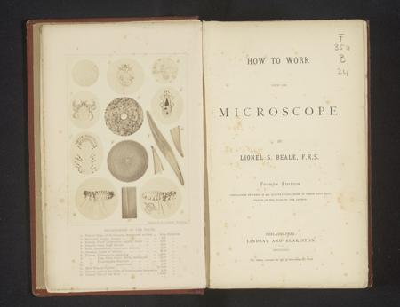 Mite Definition, Meaning & Usage | FineDictionary.com