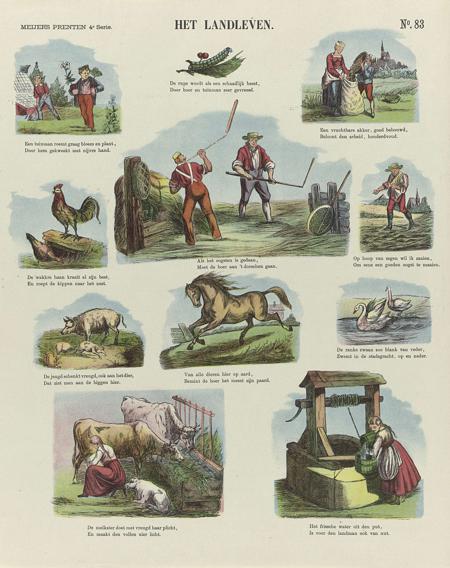 Sow Definition, Meaning & Usage | FineDictionary.com