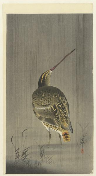 Snipe Definition, Meaning & Usage | FineDictionary.com