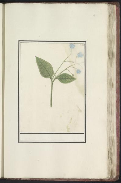 Forget Definition, Meaning & Usage | FineDictionary.com