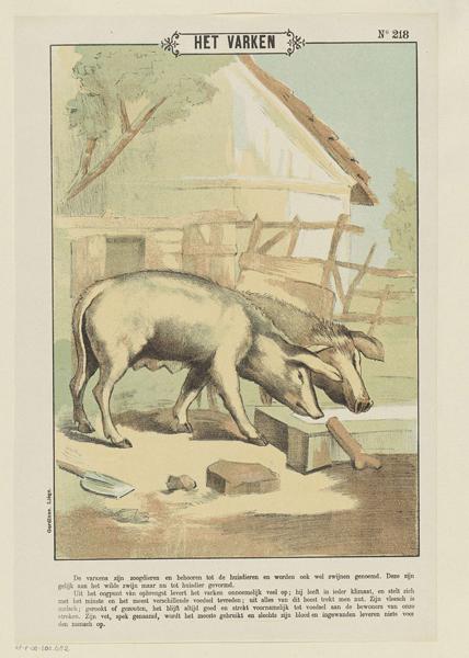 Trough Definition, Meaning & Usage | FineDictionary.com