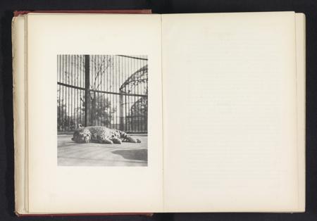 Cage Definition, Meaning & Usage | FineDictionary.com