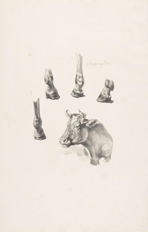 Hoove Definition, Meaning & Usage | FineDictionary.com