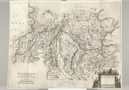 Fossa Definition, Meaning & Usage | FineDictionary.com