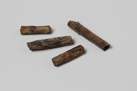 Ramrod Definition, Meaning & Usage | FineDictionary.com