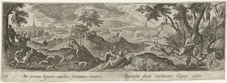 Thicket Definition, Meaning & Usage | FineDictionary.com