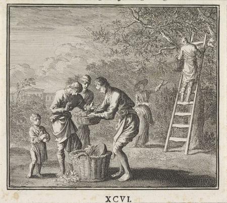 Rotten Definition, Meaning & Usage | FineDictionary.com