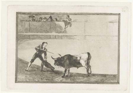 Torero Definition, Meaning & Usage | FineDictionary.com