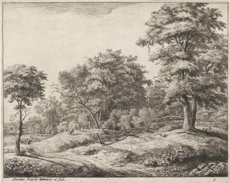 Graze Definition, Meaning & Usage | FineDictionary.com