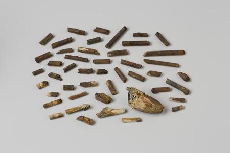 Encrustation Definition, Meaning & Usage | FineDictionary.com