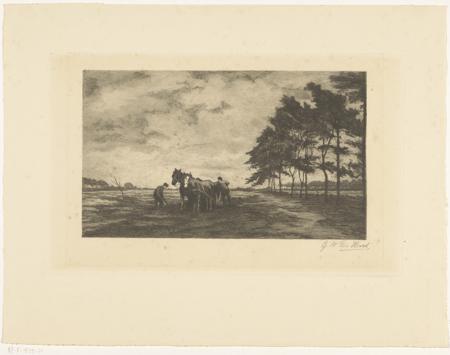 SOD Definition, Meaning & Usage | FineDictionary.com