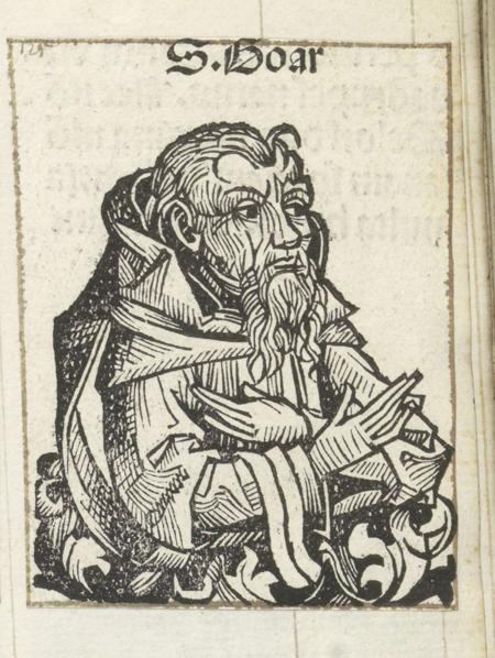 Goar Definition, Meaning & Usage | FineDictionary.com