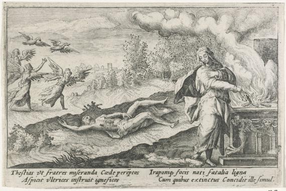 Althaea Definition, Meaning & Usage | FineDictionary.com