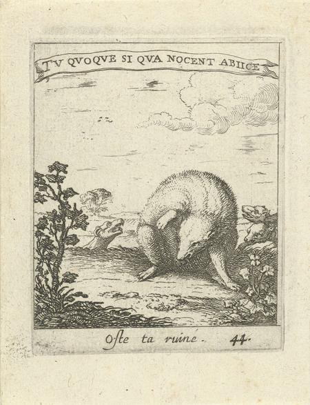 Howl Definition, Meaning & Usage | FineDictionary.com