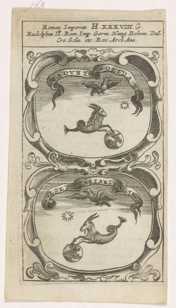 Ibex Definition, Meaning & Usage | FineDictionary.com