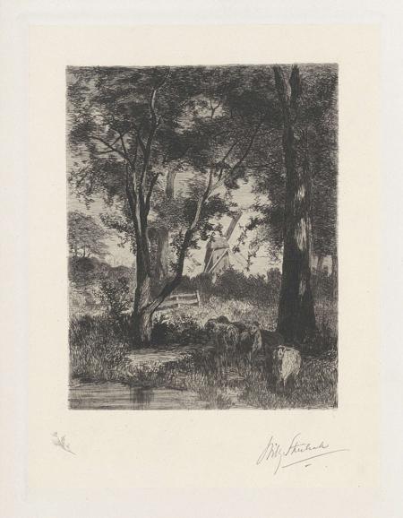 Twig Definition, Meaning & Usage | FineDictionary.com