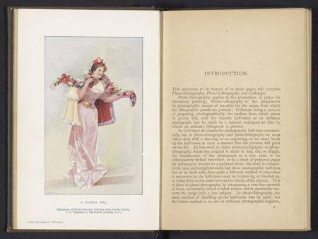 Boa Definition, Meaning & Usage | FineDictionary.com