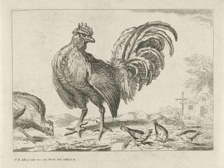 Free-range Definition, Meaning & Usage | FineDictionary.com