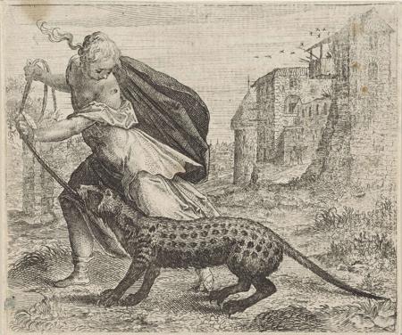 Civet Definition, Meaning & Usage | FineDictionary.com