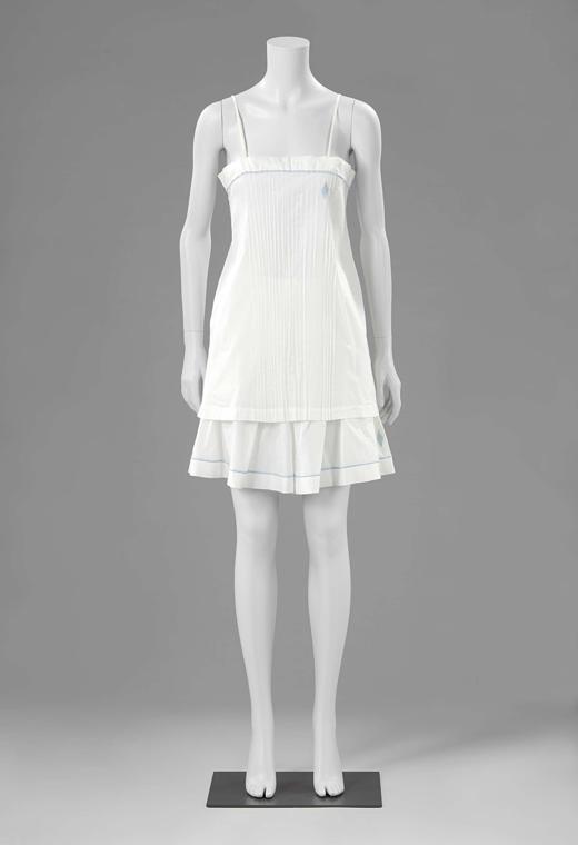 Chemise Definition, Meaning & Usage | FineDictionary.com