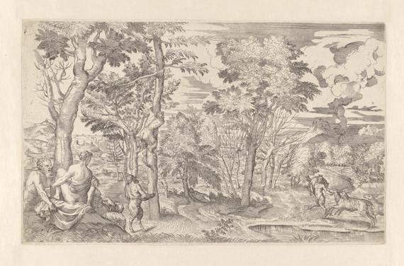 Wood nymph Definition, Meaning & Usage | FineDictionary.com