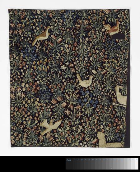 Strewn Definition, Meaning & Usage | FineDictionary.com