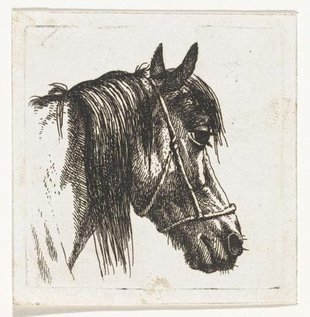 Halter Definition, Meaning & Usage | FineDictionary.com