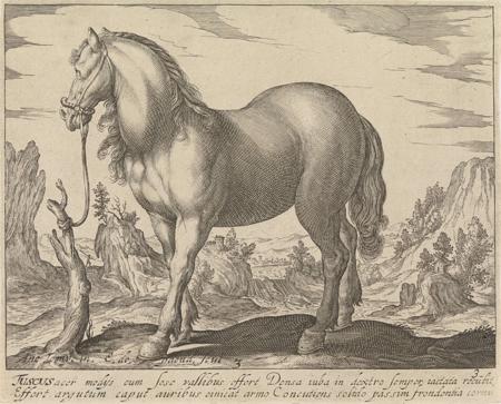 Bridle Definition, Meaning & Usage | FineDictionary.com