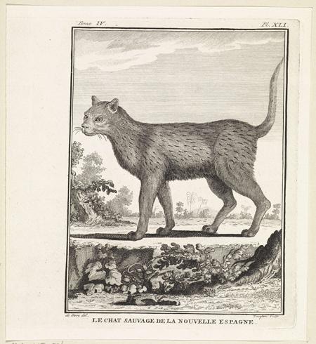 Tome Definition, Meaning & Usage | FineDictionary.com