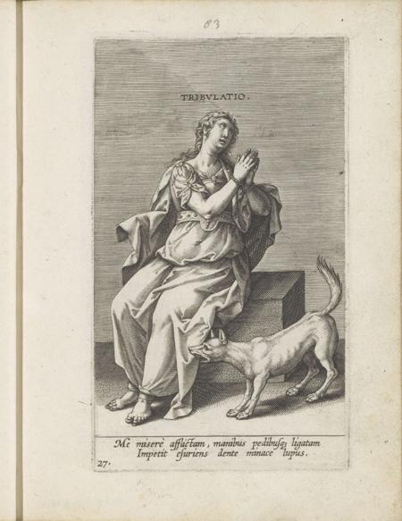 Plead Definition, Meaning & Usage | FineDictionary.com