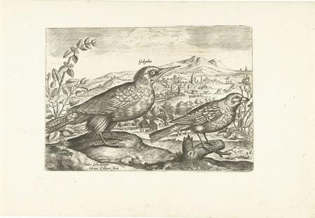 Bunt Definition, Meaning & Usage | FineDictionary.com