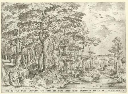 Woodland Definition, Meaning & Usage | FineDictionary.com