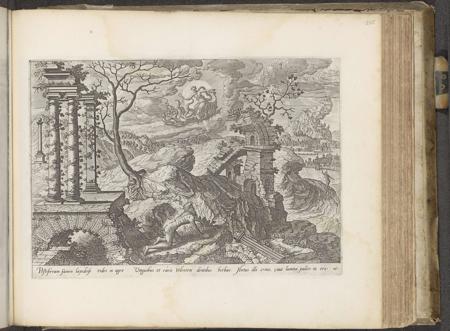 Emaciate Definition, Meaning & Usage | FineDictionary.com