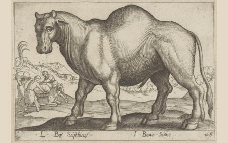 Beef up Definition, Meaning & Usage | FineDictionary.com