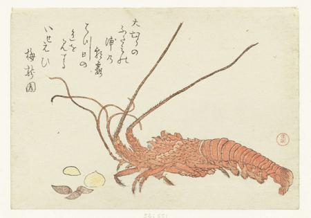 Shelling Definition, Meaning & Usage | FineDictionary.com