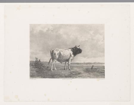 Roar Definition, Meaning & Usage | FineDictionary.com