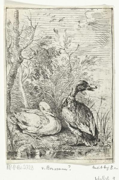 Thicket Definition, Meaning & Usage | FineDictionary.com