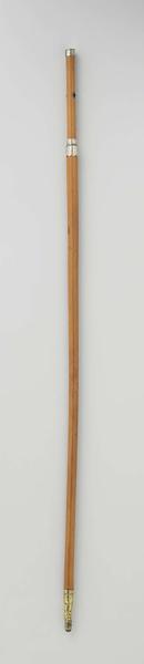 Rattan cane Definition, Meaning & Usage | FineDictionary.com