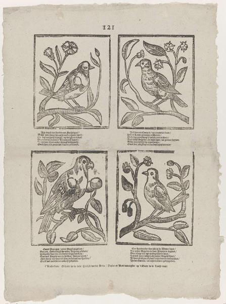 Canary Definition, Meaning & Usage | FineDictionary.com