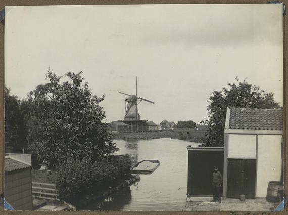 Overlook Definition, Meaning & Usage | FineDictionary.com