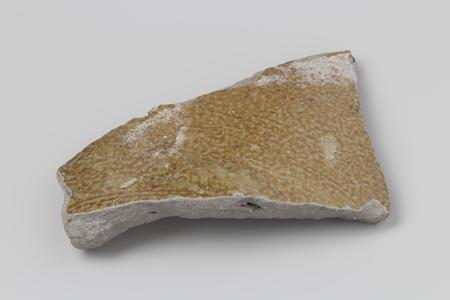 Speckled Definition, Meaning & Usage | FineDictionary.com