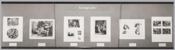 Showcase Definition, Meaning & Usage | FineDictionary.com