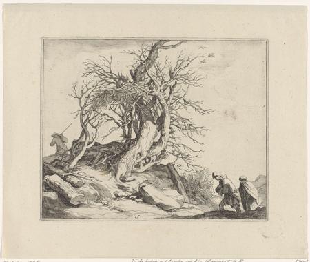 Gnarled Definition, Meaning & Usage | FineDictionary.com